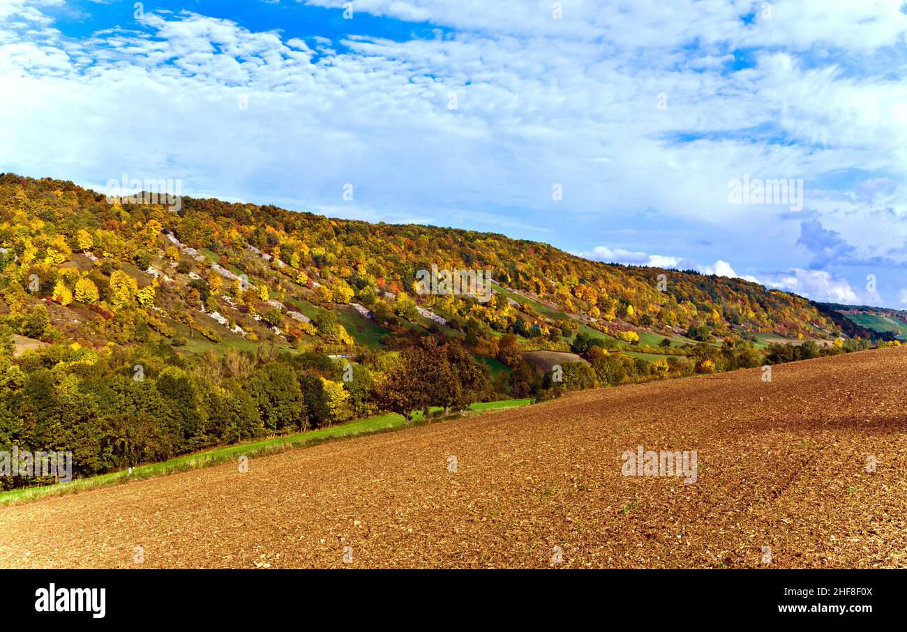 Hills and meadows in the lovely river Tauber valley Stock Photo - Alamy