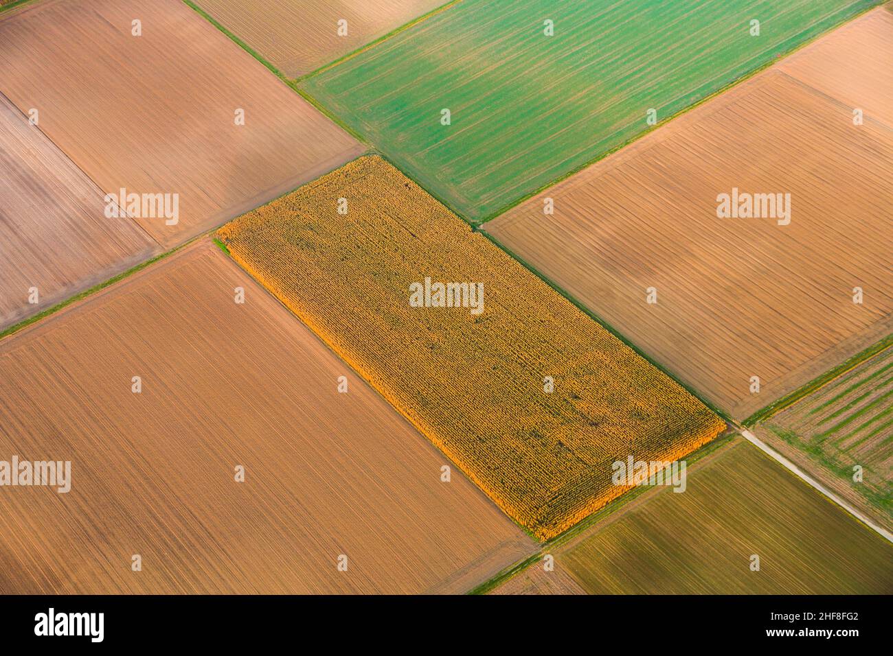 aerial of fields in golden sunset light Stock Photo - Alamy