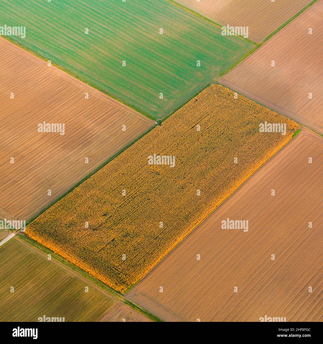 aerial of fields in golden sunset light Stock Photo - Alamy