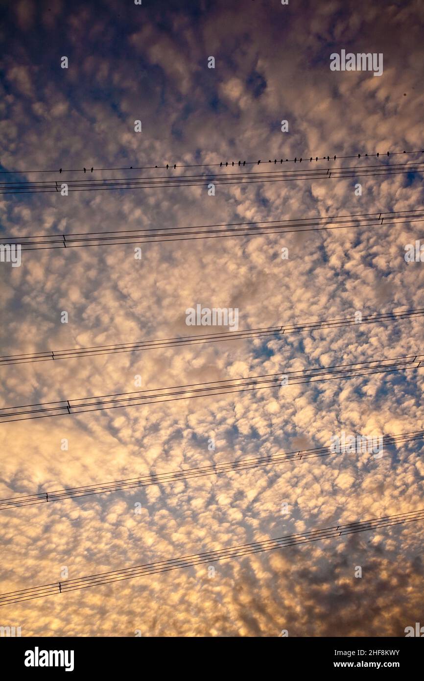 beautiful sky with clouds in early morning at sunrise, birds on wire of ...