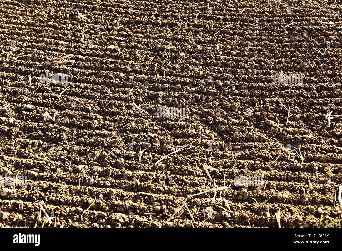 fresh ploghed fields in beautiful light Stock Photo - Alamy