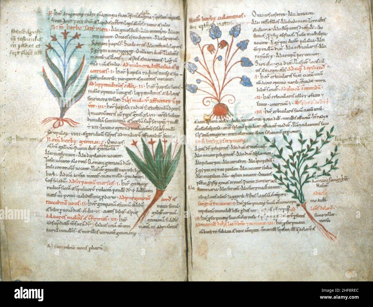 Ms ps hi-res stock photography and images - Alamy