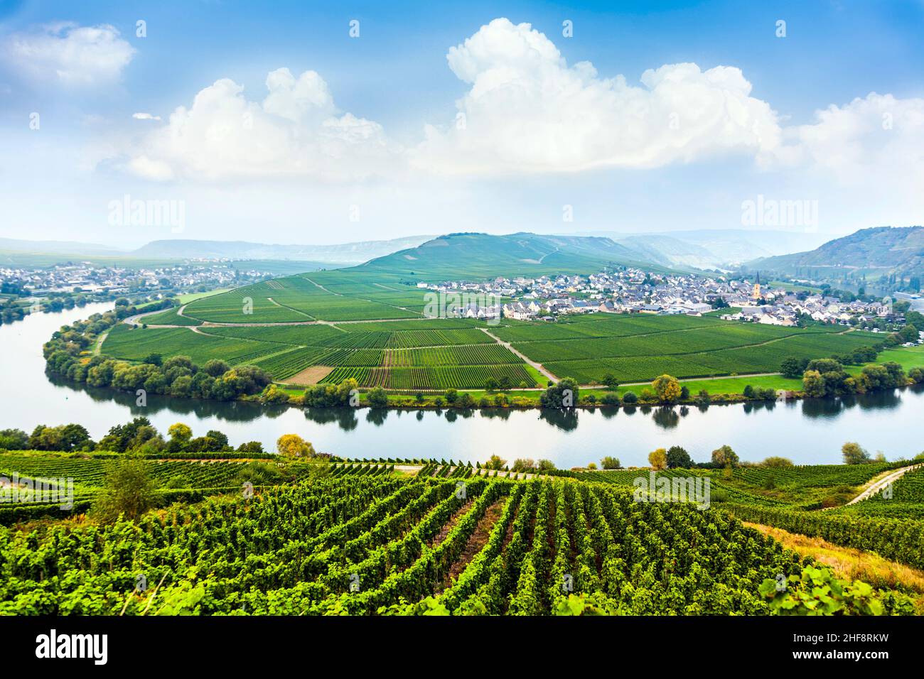 famous Moselle Sinuosity in Trittenheim, germany Stock Photo - Alamy