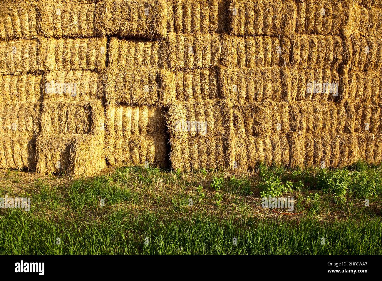Big bale straw stack hi-res stock photography and images - Alamy