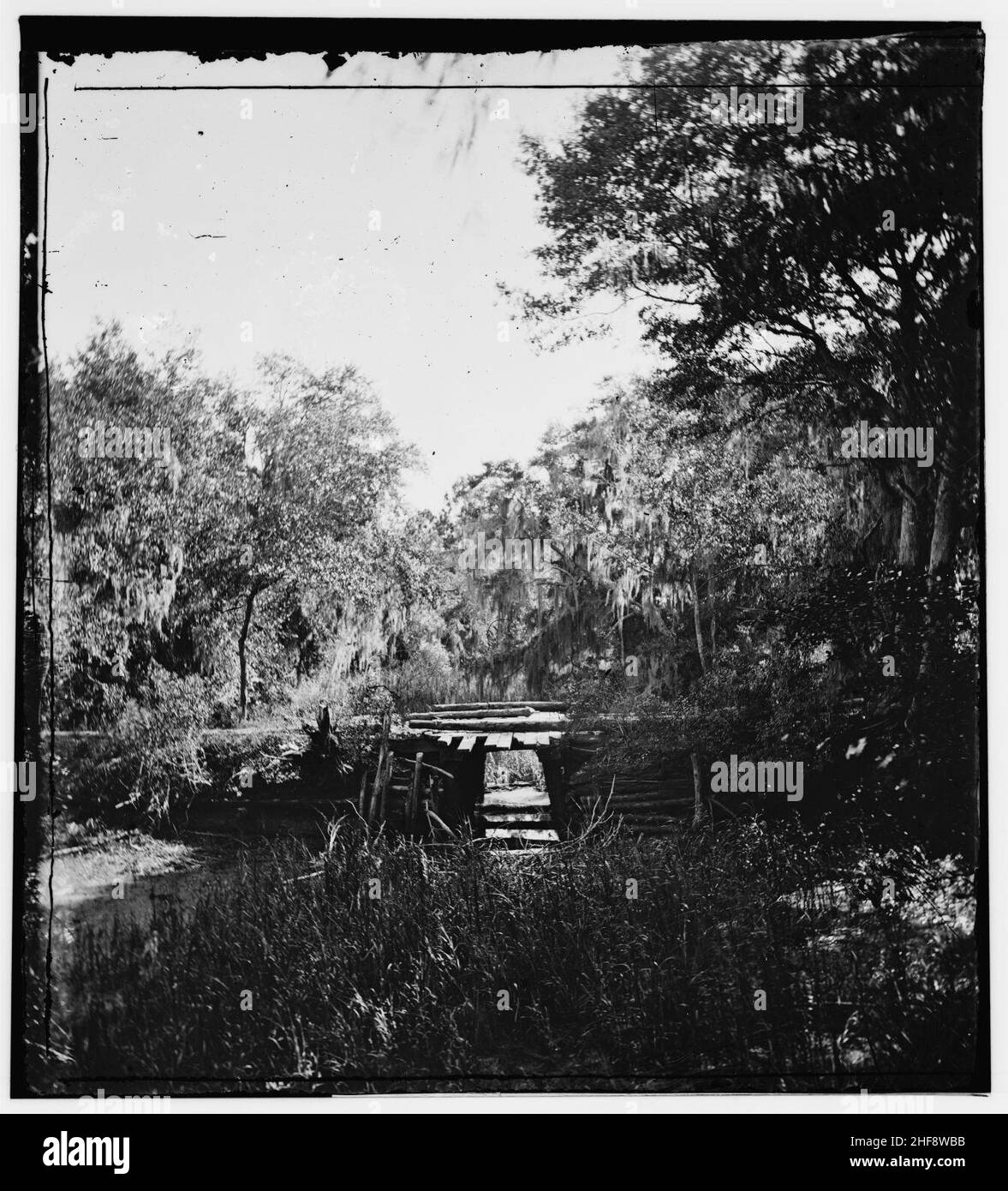 Savannah, Georgia). Bridge over stream Stock Photo - Alamy