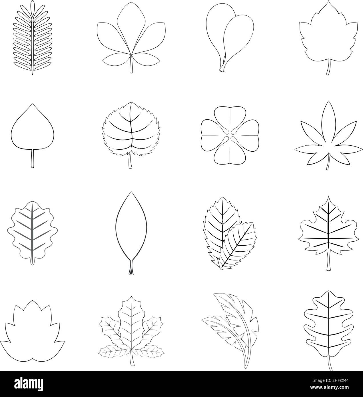 Different leafs set icons in outline style isolated on white background ...