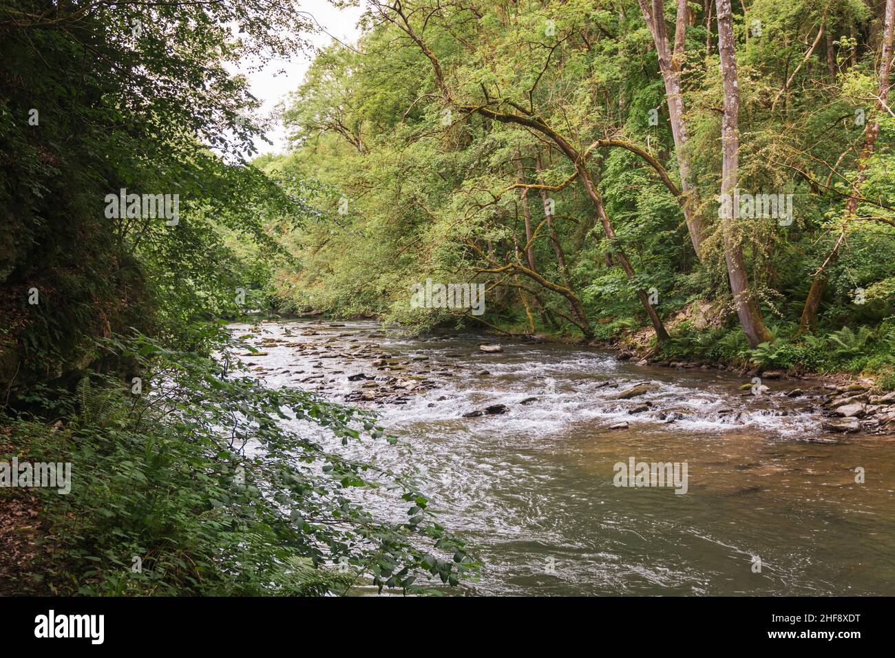 Landscape of the River Teme and ancient woodland in Downton Gorge ...