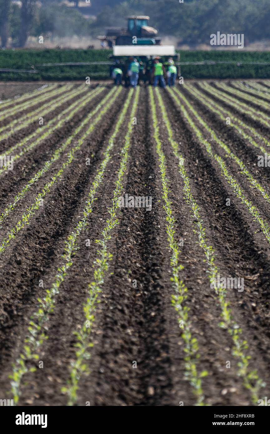 Field workers hi-res stock photography and images - Alamy