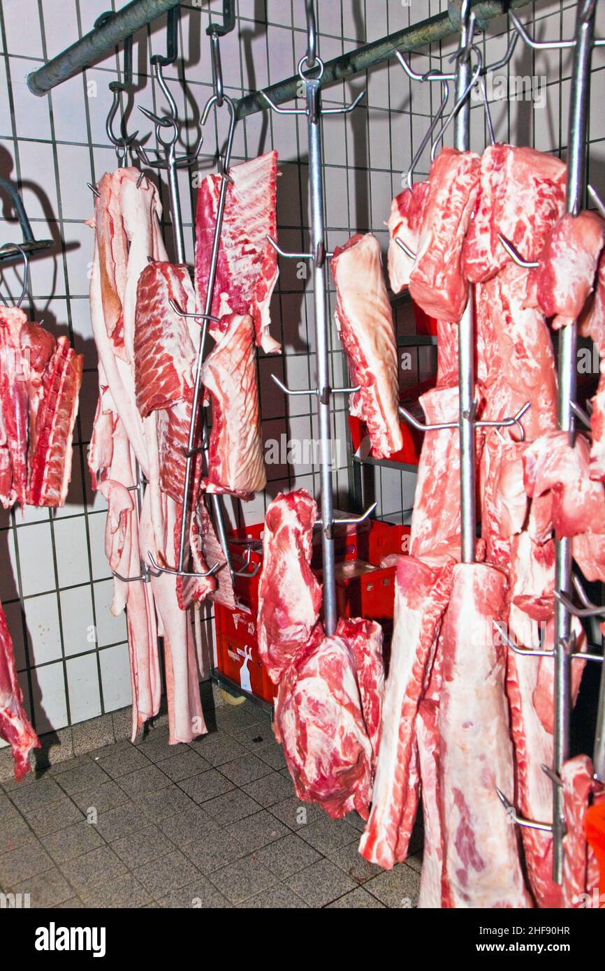 Beef gristle hi-res stock photography and images - Alamy