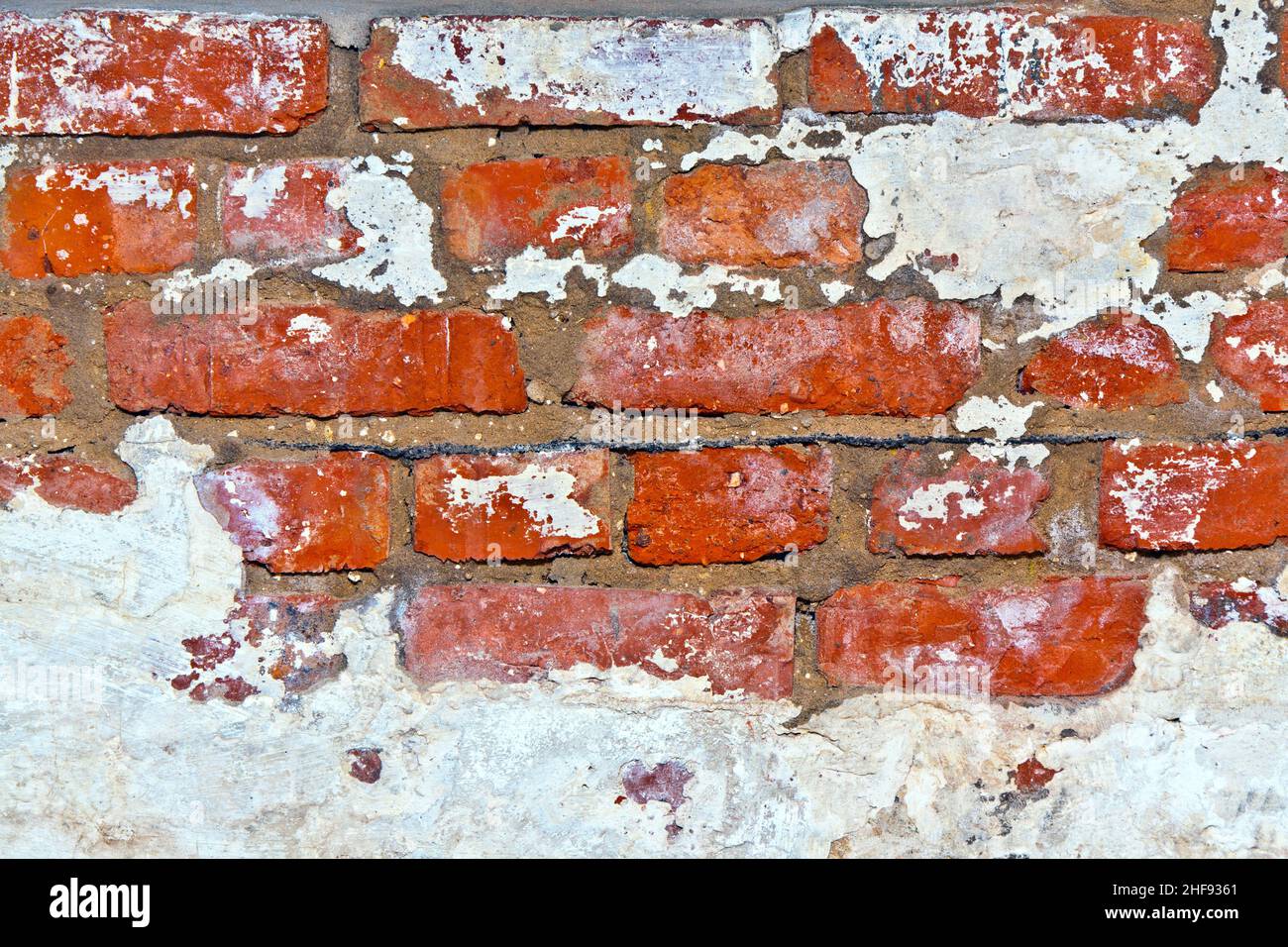 old red brick wall in a cellar Stock Photo - Alamy