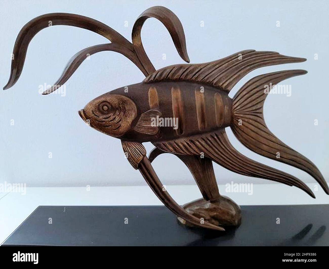 Scalar fish hi-res stock photography and images - Alamy