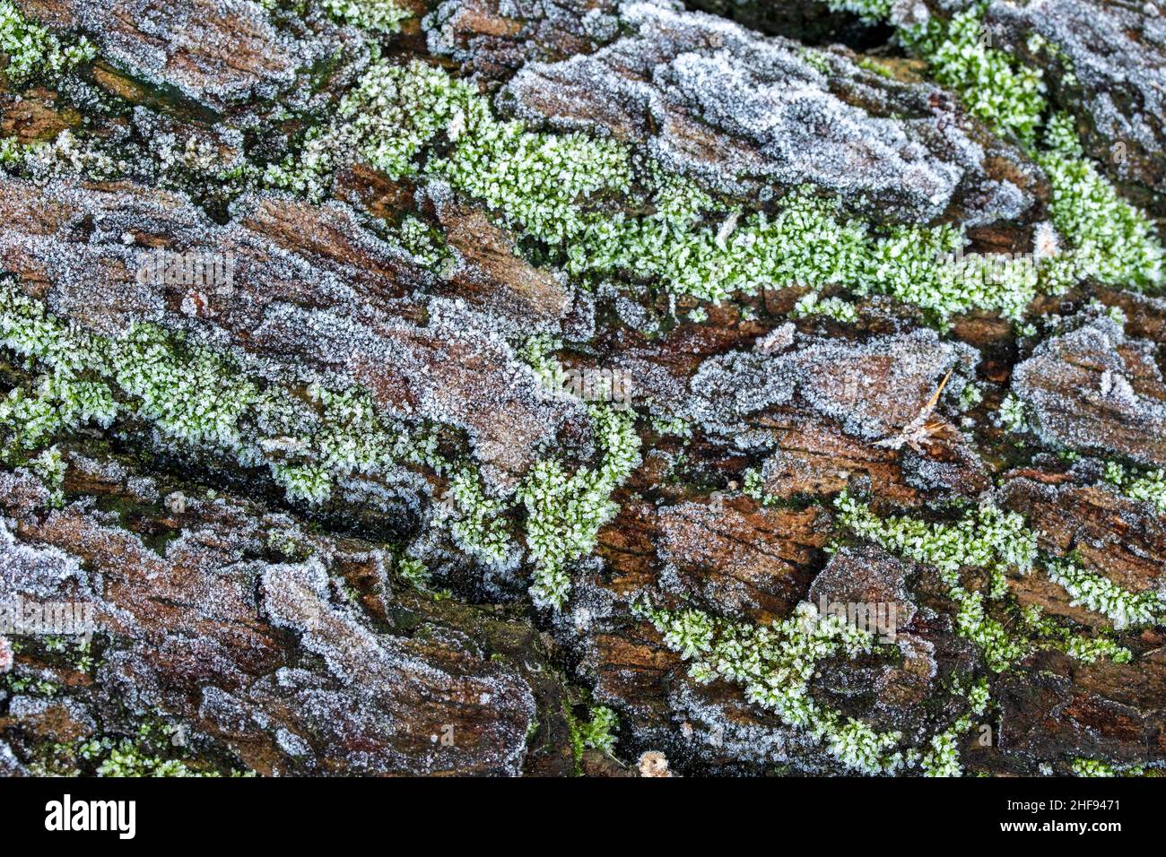 Choas, abstract patterns and textures in nature and the environment ...