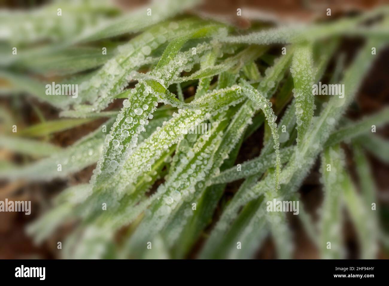 Choas, abstract patterns and textures in nature and the environment ...