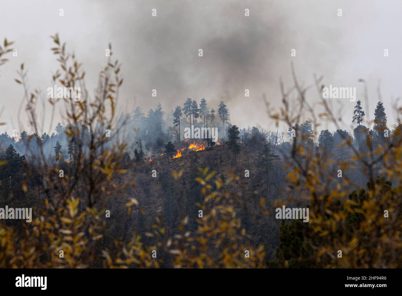 Prescott, Arizona fire service performing controlled fires for forest ...