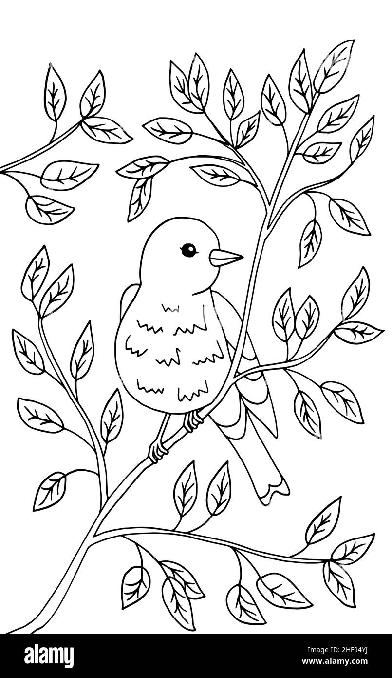 A beautiful bird is sitting on a branch. Coloring page for children and ...