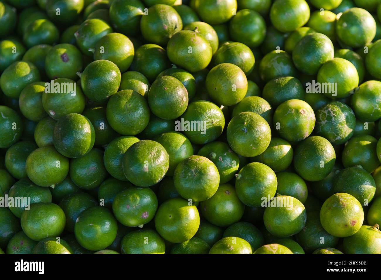 fresh lime fruits at the market in early morning Stock Photo - Alamy