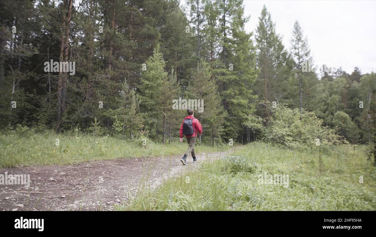 Hiker man wearing hiking backpack and red jacket while walking in ...