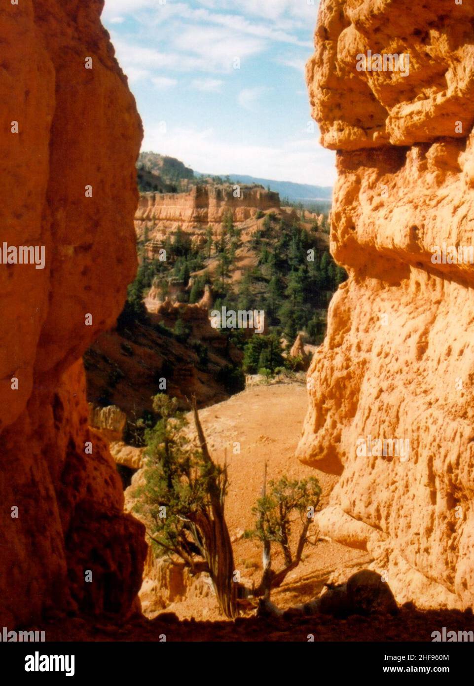 Scenic Byway 12 - Peeking Through Sandstone Walls Stock Photo - Alamy