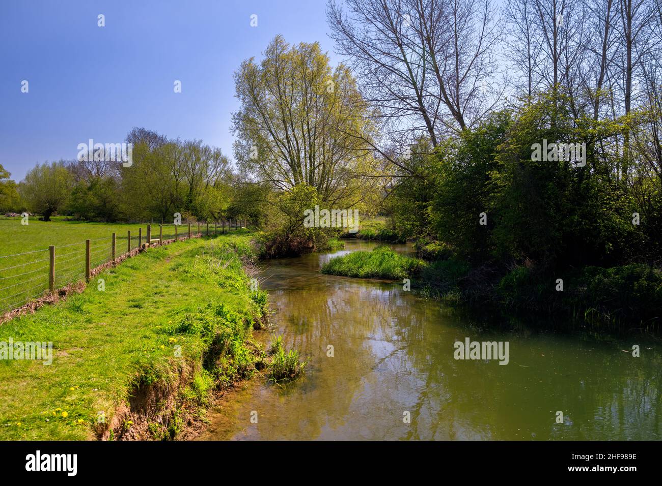Walking along the river Thames in Oxfordshire on a sunny spring day, a ...