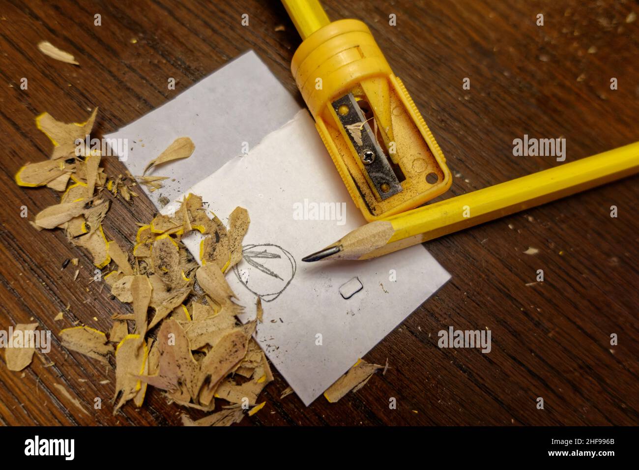 Hande baum hi-res stock photography and images - Alamy