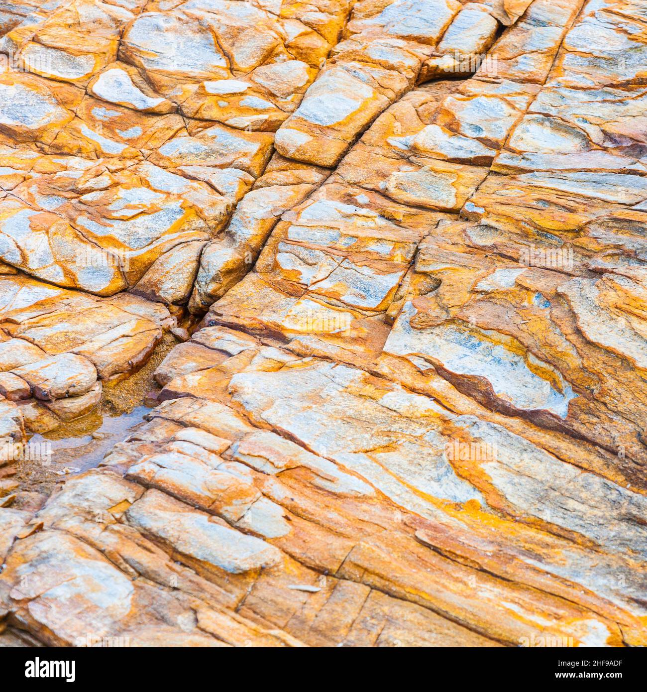 beautiful pattern in Stone at the coast Stock Photo - Alamy