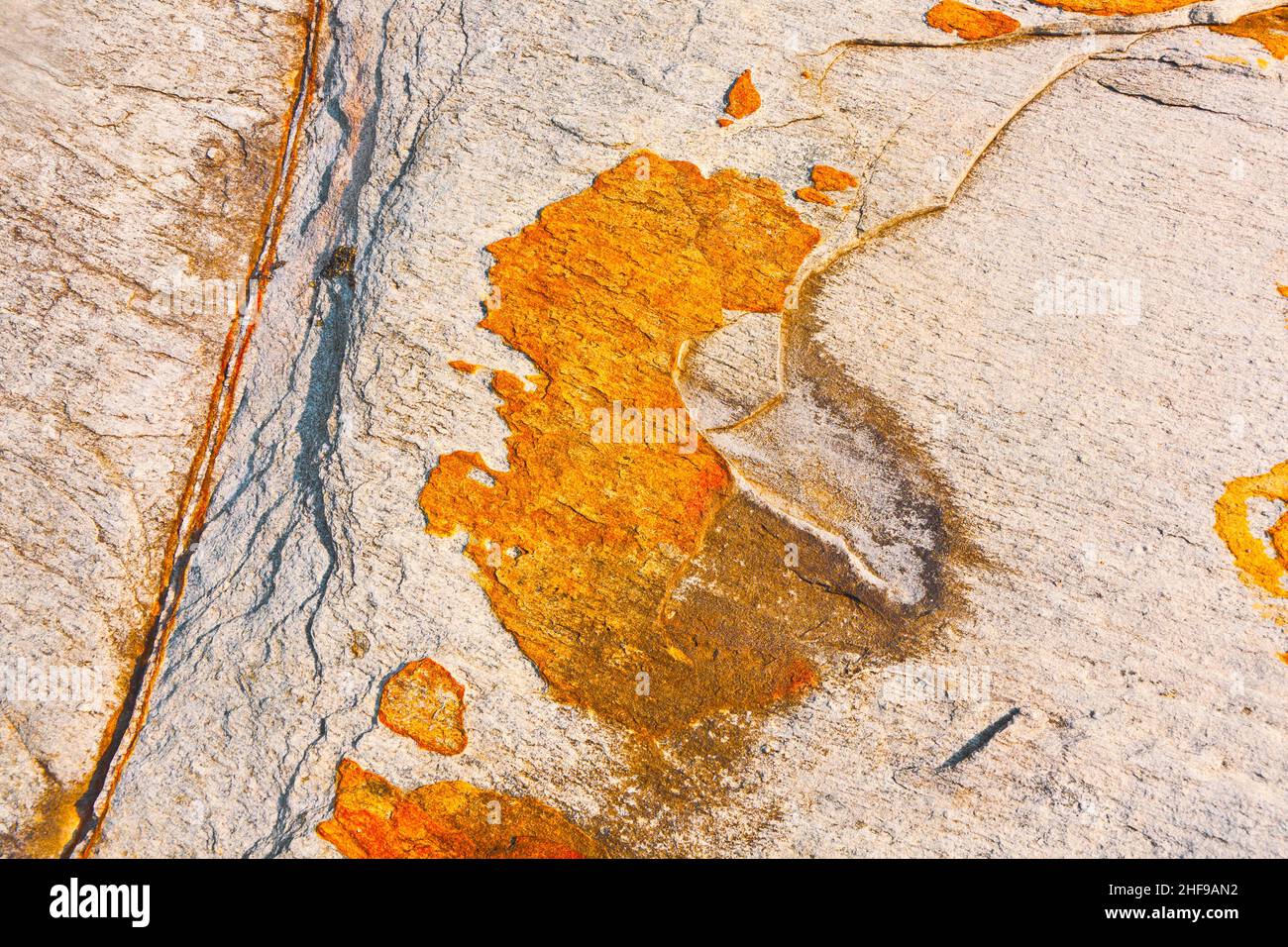 beautiful pattern in Stone at the coast Stock Photo - Alamy