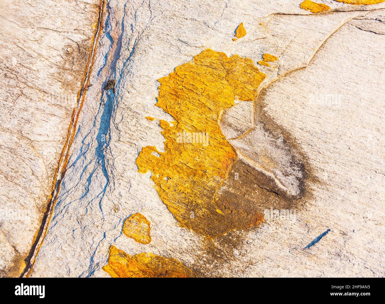 beautiful pattern in Stone at the coast Stock Photo - Alamy