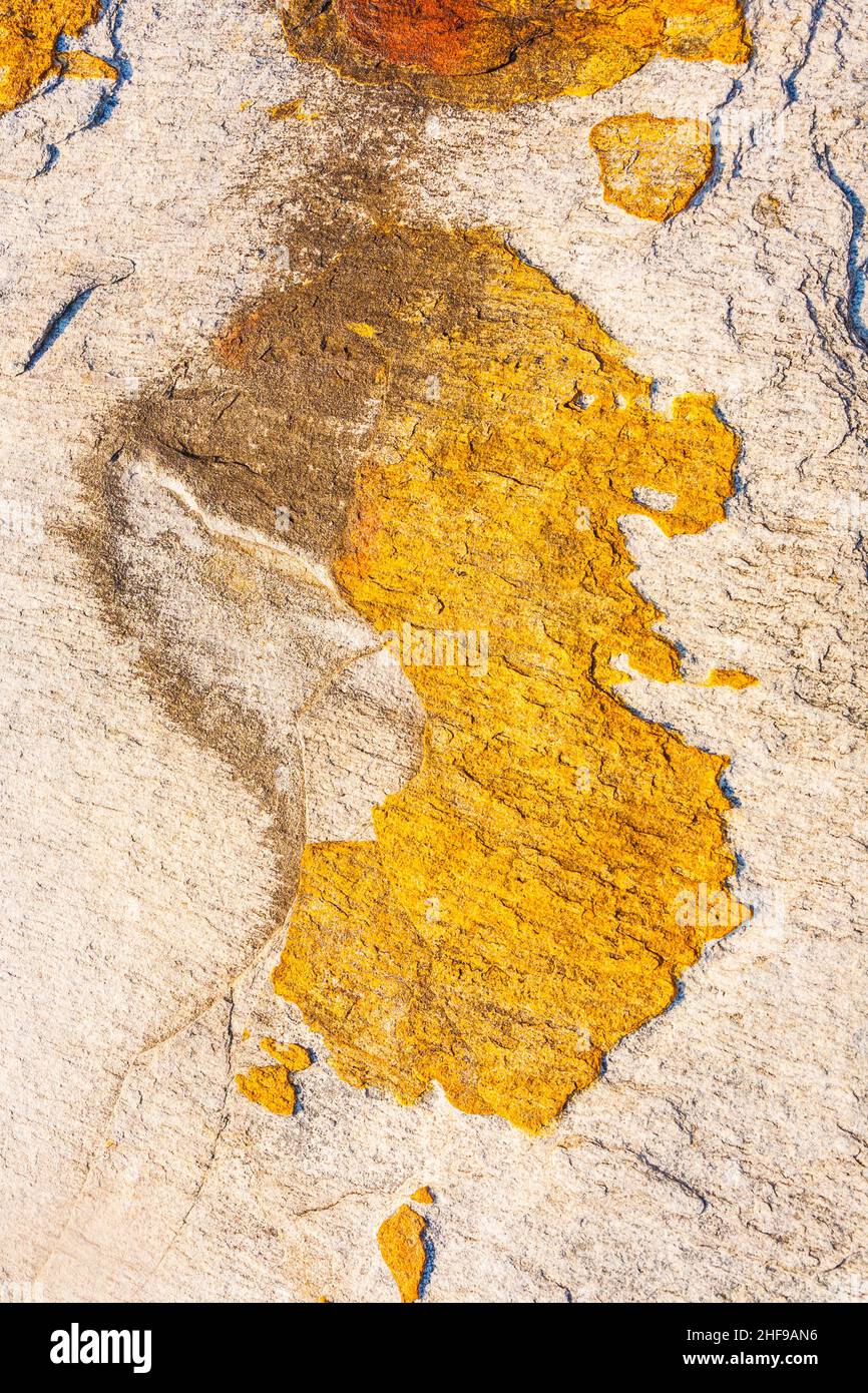 beautiful pattern in Stone at the coast Stock Photo - Alamy