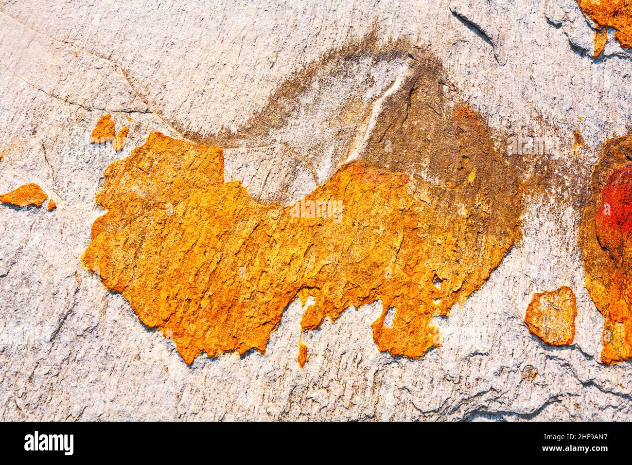 beautiful pattern in Stone at the coast Stock Photo - Alamy