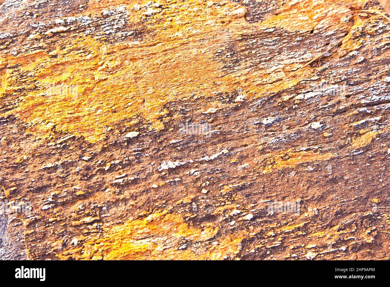 beautiful pattern in Stone at the coast Stock Photo - Alamy