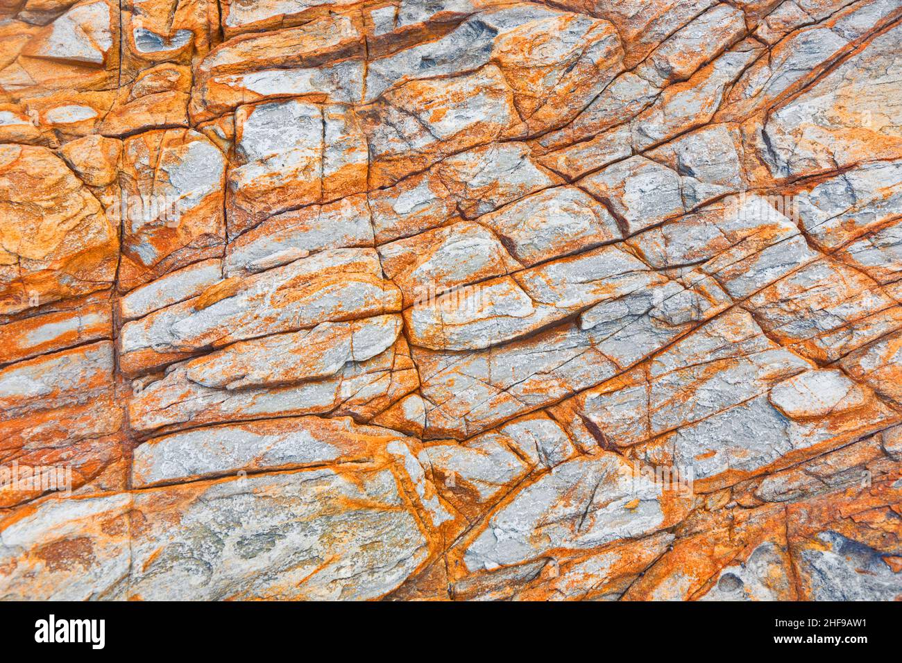 beautiful pattern in Stone at the coast Stock Photo - Alamy