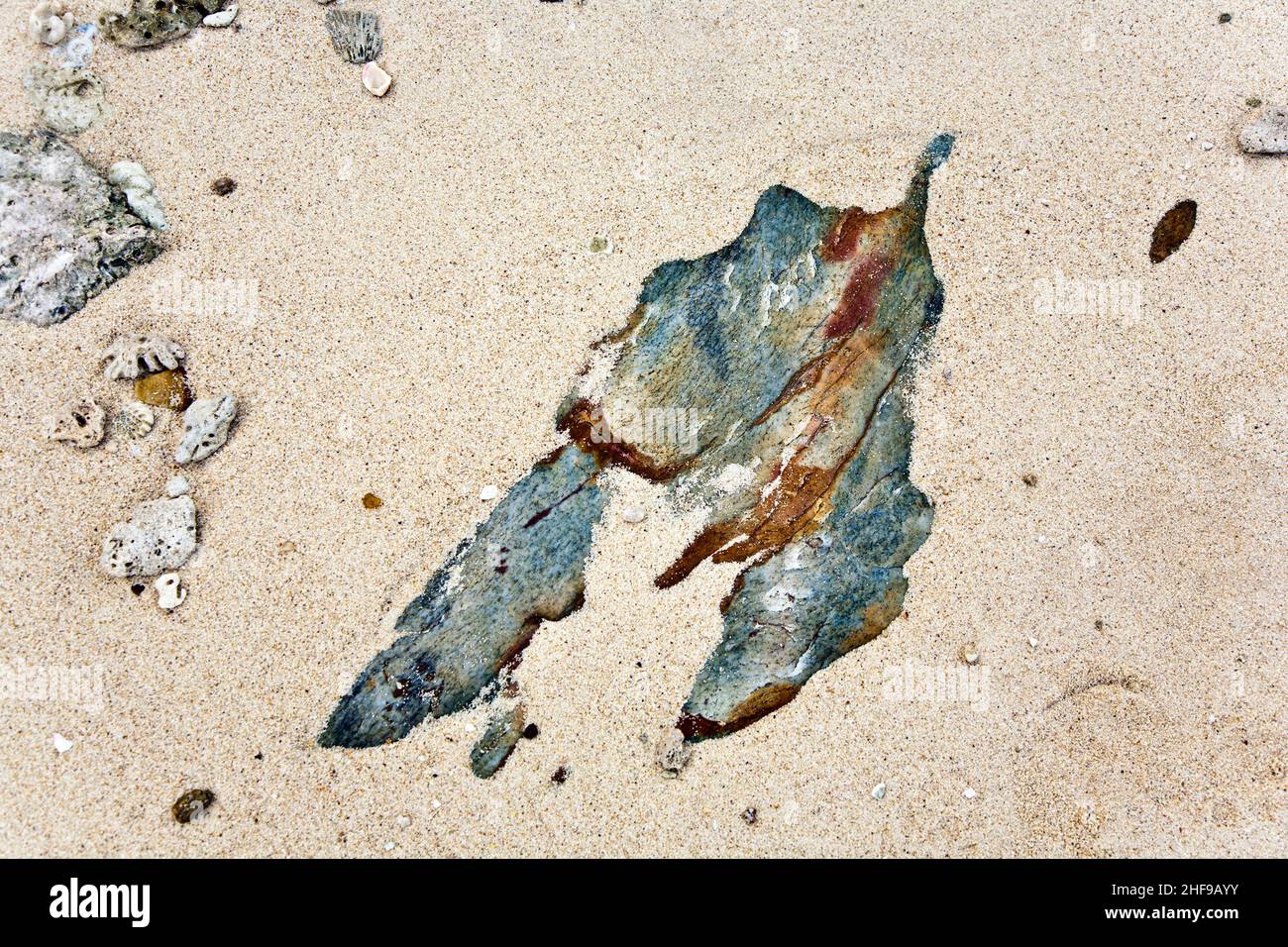 beautiful stones at the beach, rocks in sunlight with interesting ...