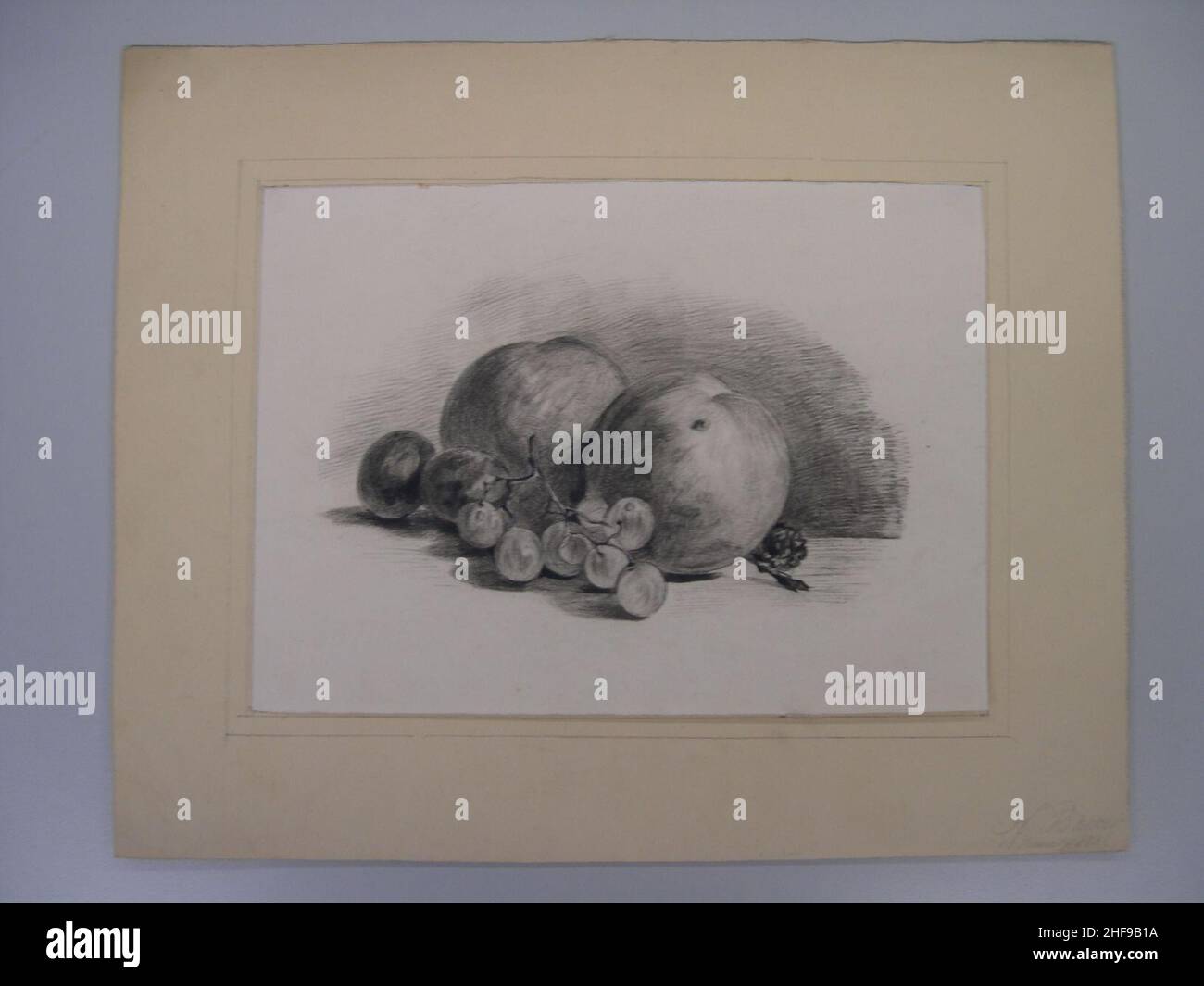 Schets van stilleven met fruit, objectnr TB 6515.81 Stock Photo - Alamy