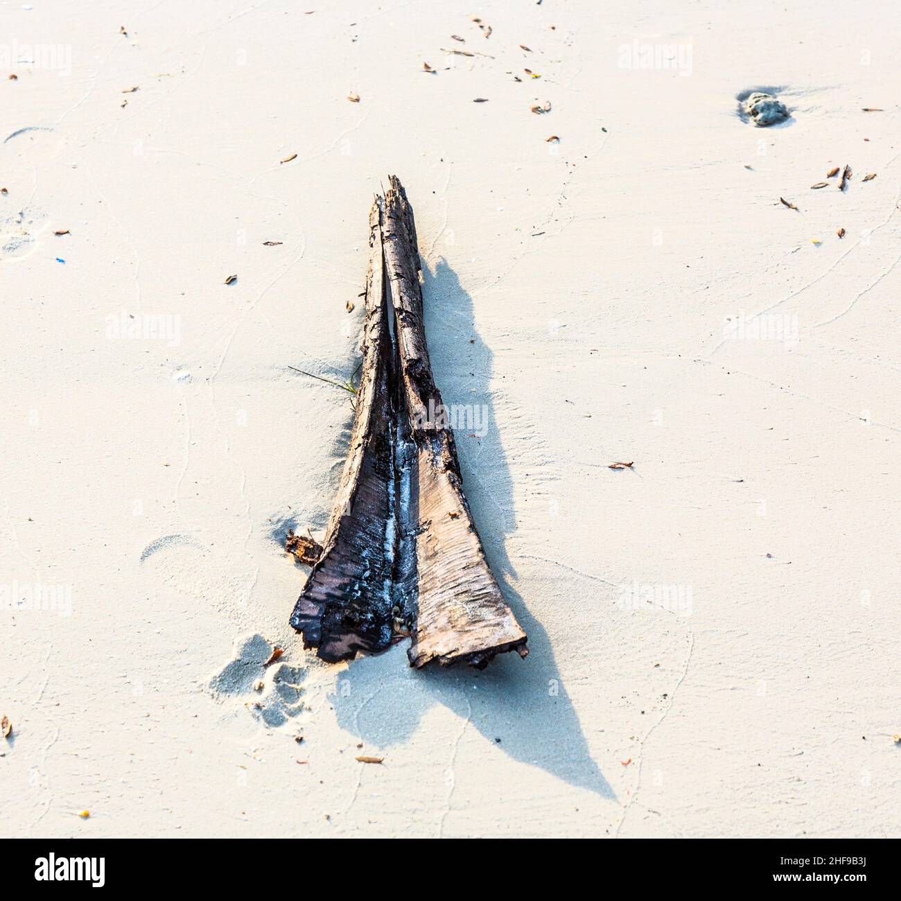 beautiful structures, lines at the beach with arrangement of leaves ...