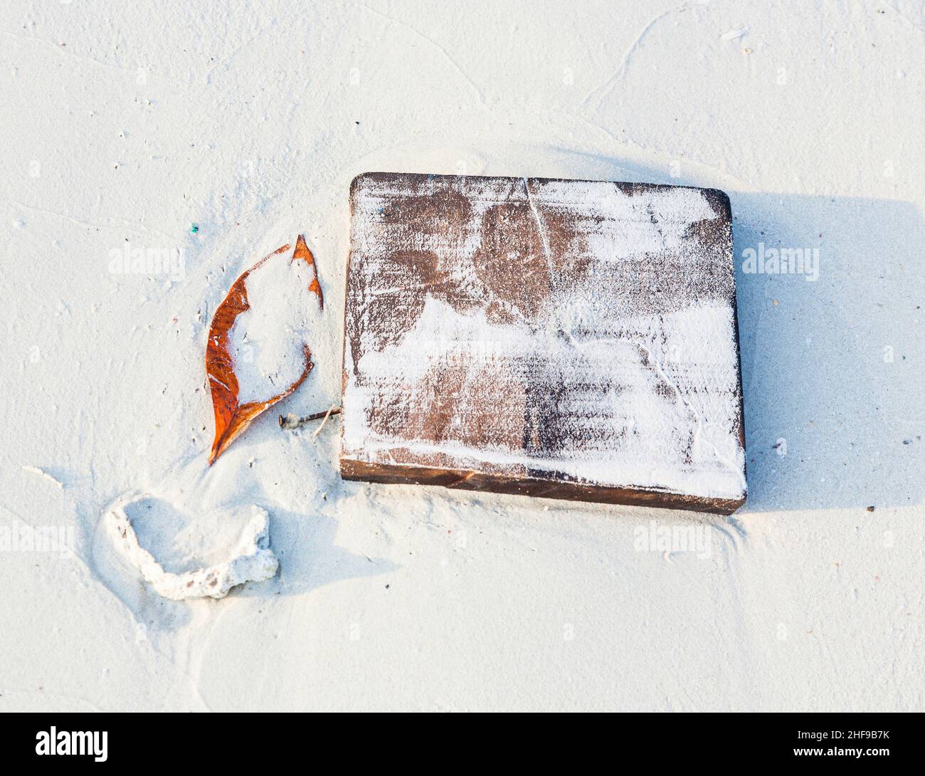 beautiful structures, lines at the beach with arrangement of leaves ...