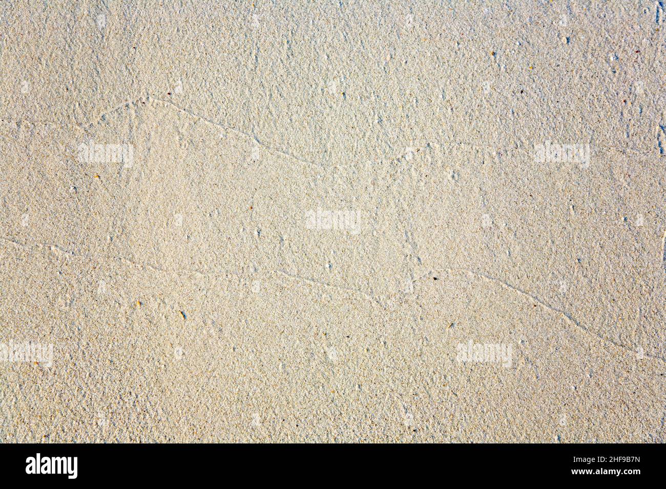 beautiful structures, lines at the beach with arrangement of leaves ...