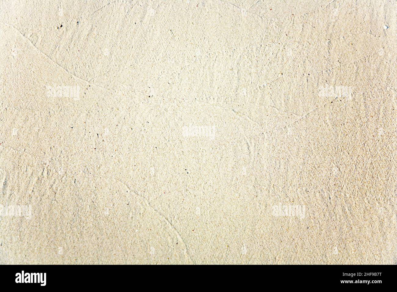 beautiful structures, lines at the beach with arrangement of leaves ...