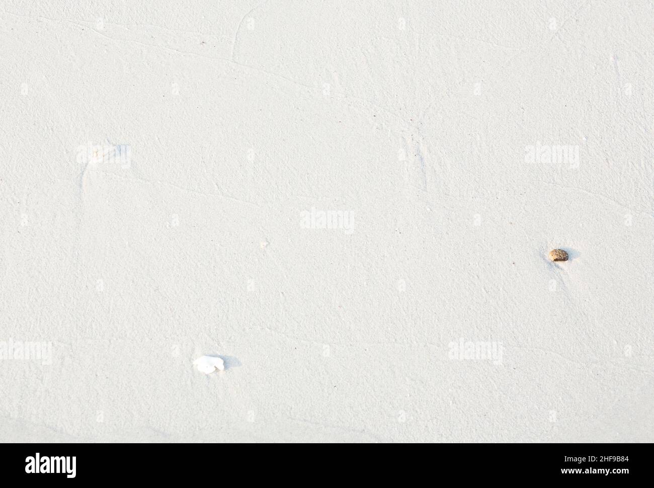 shells at the beautiful white tropical beach give a harmonic picture ...