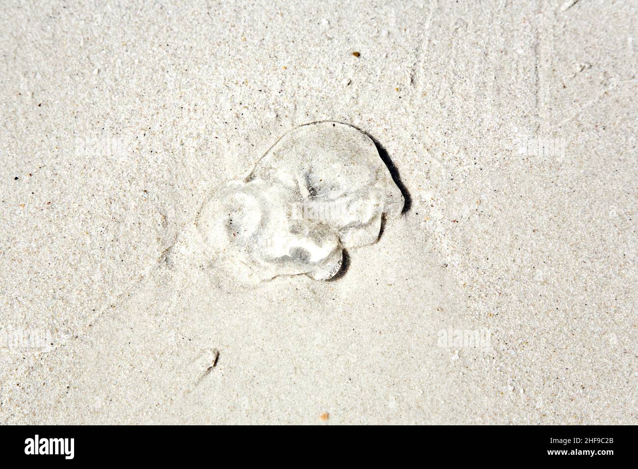 Formation jelly hi-res stock photography and images - Alamy