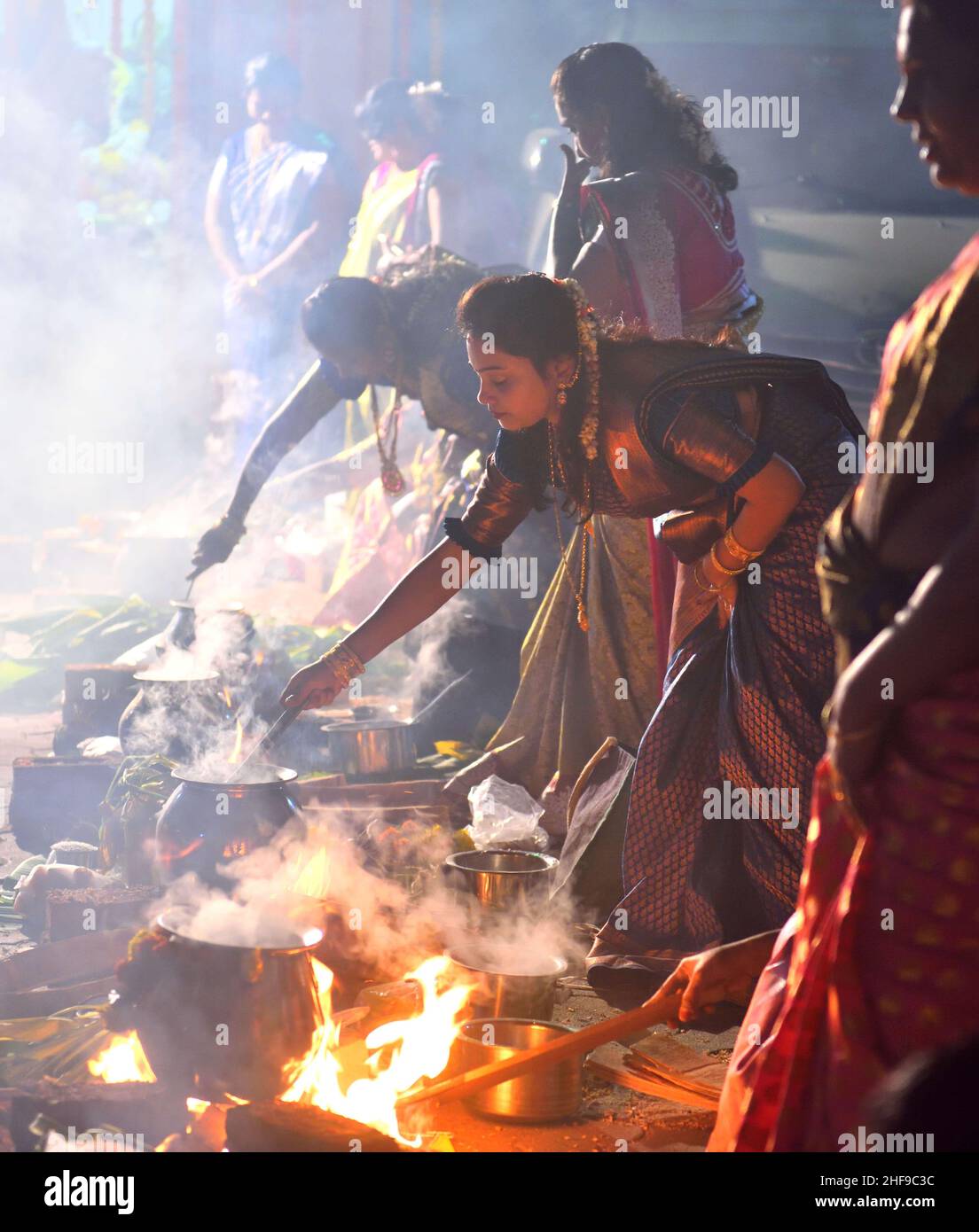 MUMBAI, INDIA - JANUARY 14: Tamil women celebrate harvest festival of ...