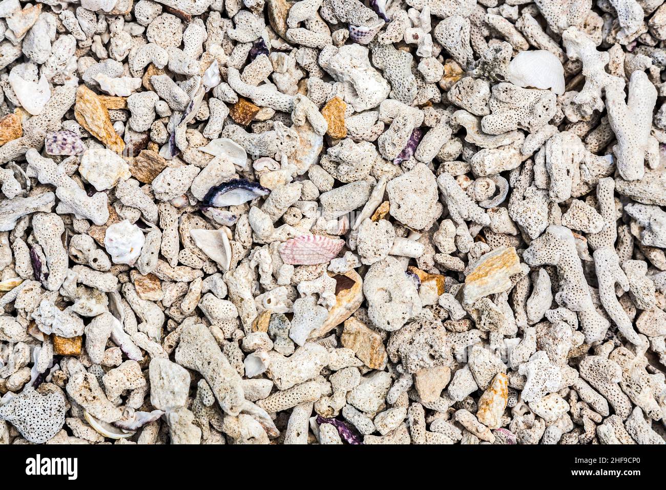beautiful structured stones at the beach in harmonic way gives an ...