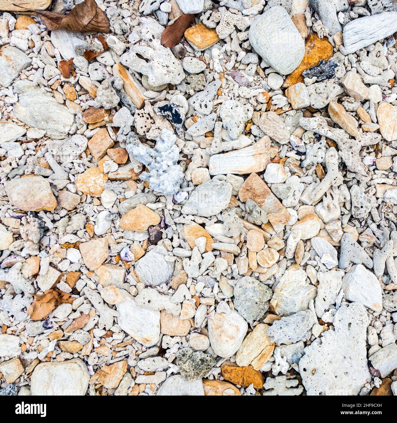 beautiful structures, lines at the beach with arrangement of leaves ...