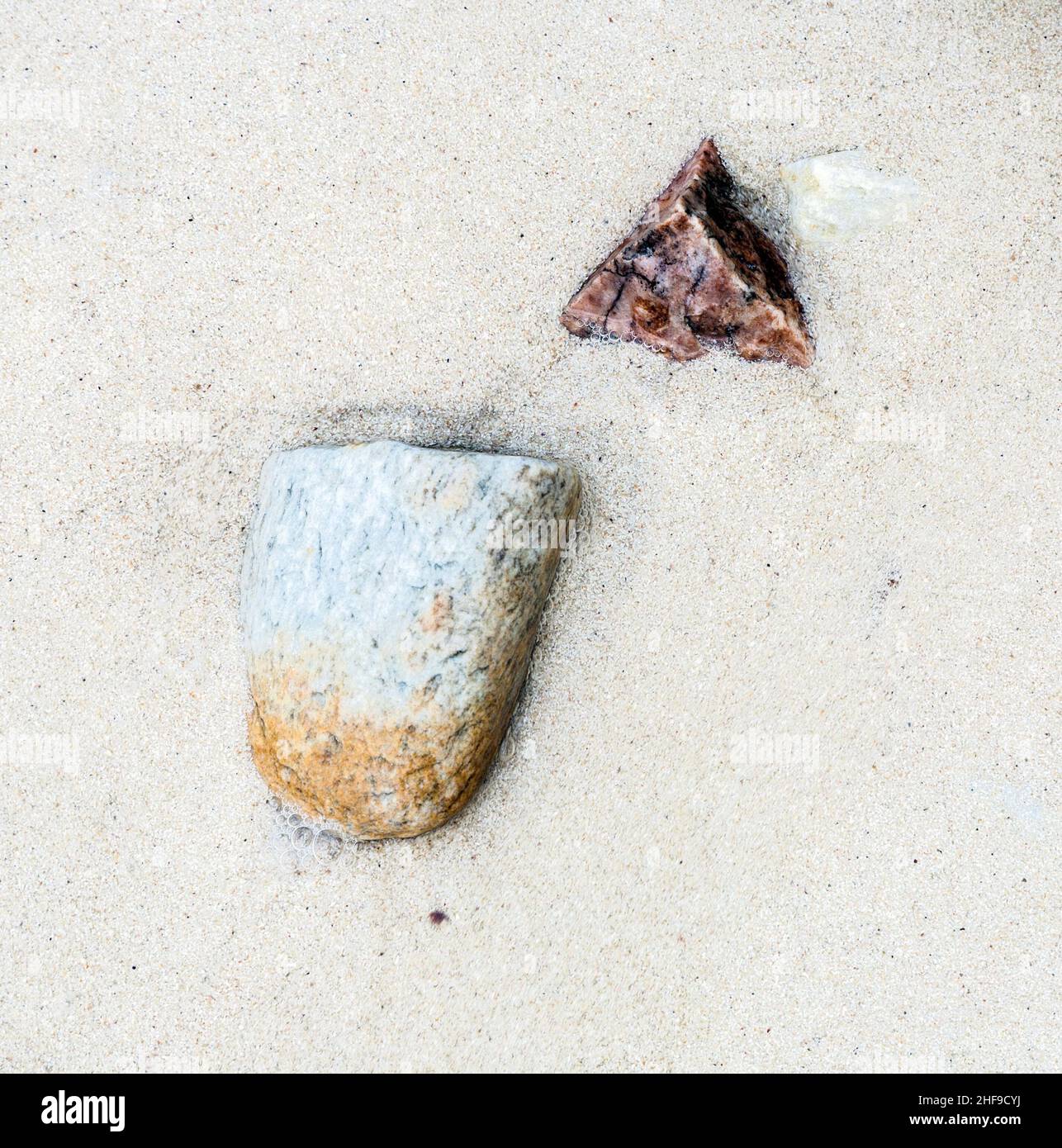 beautiful structures, lines at the beach with arrangement of leaves ...