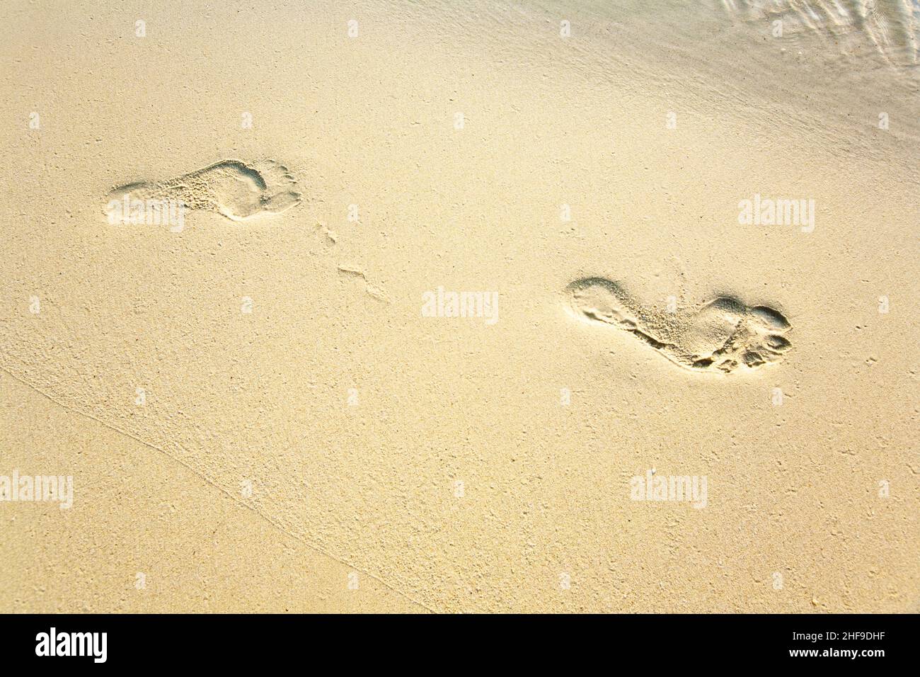 human adult footprint in the fine sand at the beach Stock Photo - Alamy