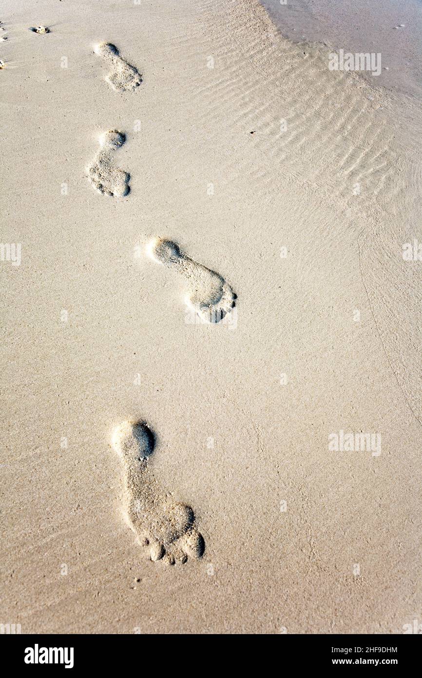 human adult footprint in the fine sand at the beach Stock Photo - Alamy