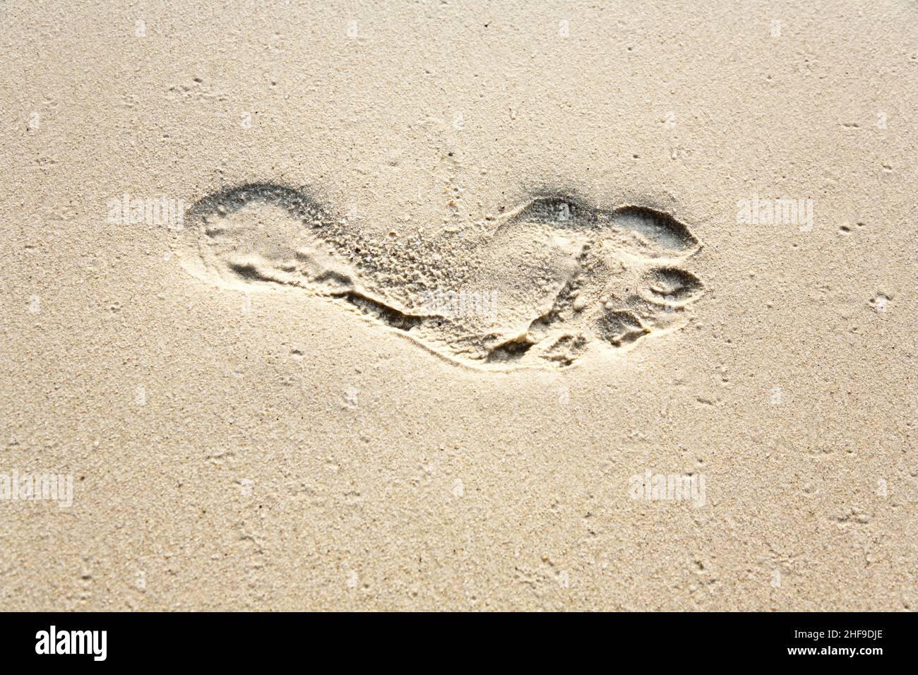 human adult footprint in the fine sand at the beach Stock Photo - Alamy