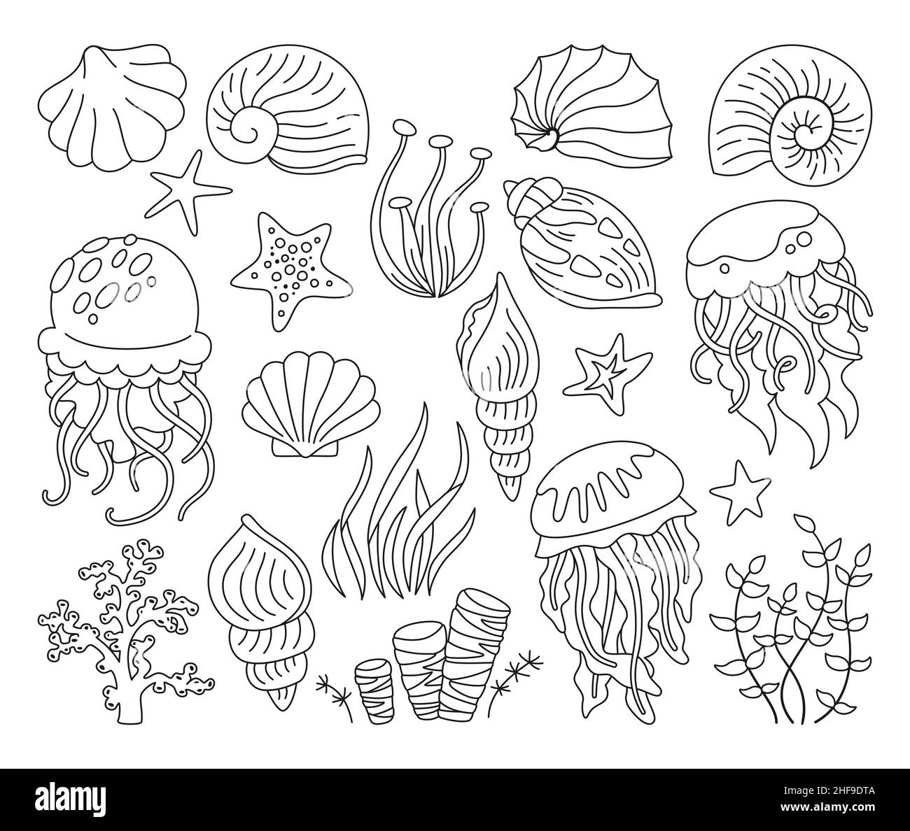 Seashells outline doodle set. Ocean marine shell, starfish, spiral ...