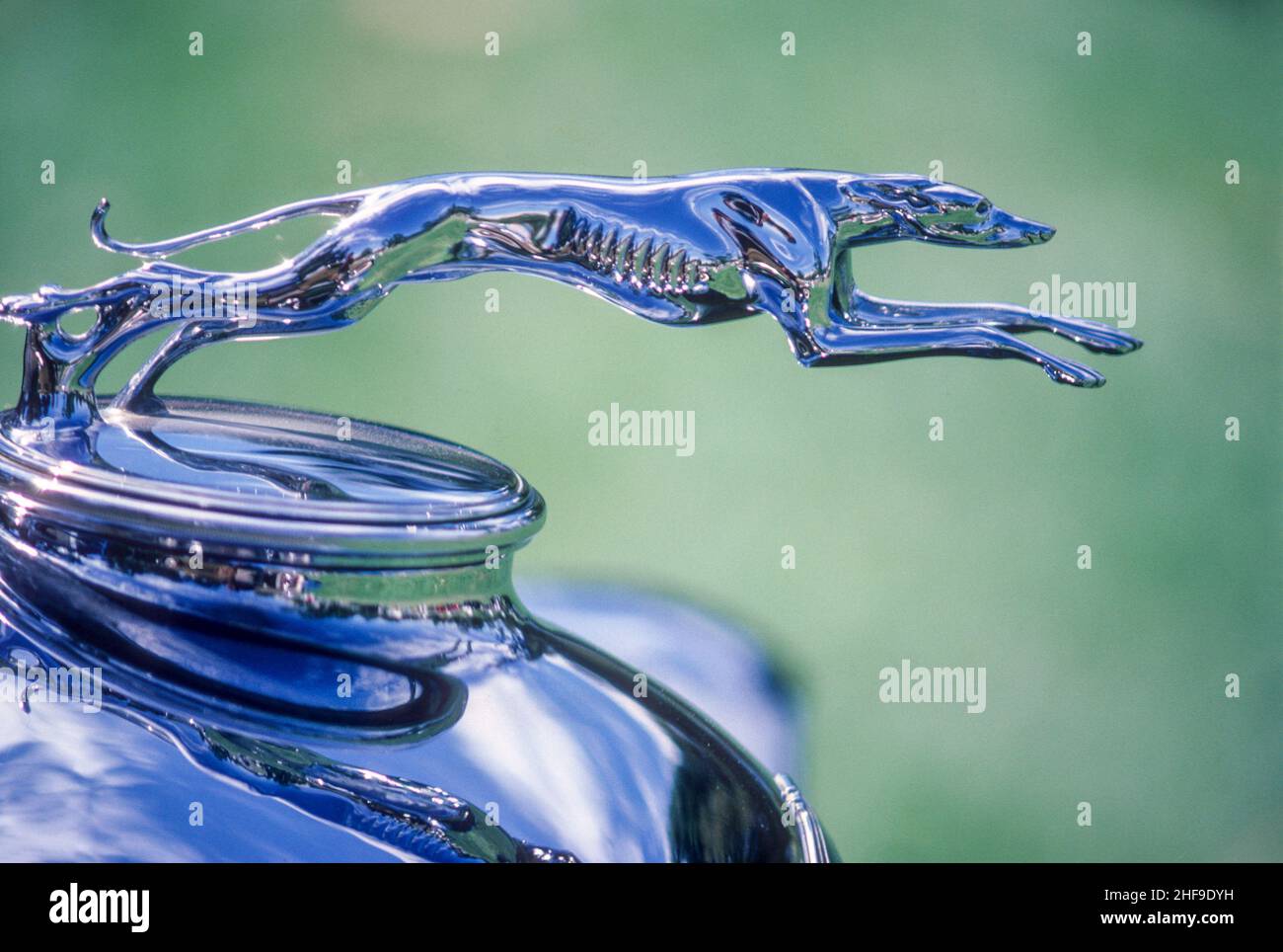 Car radiator mascot hi-res stock photography and images - Alamy