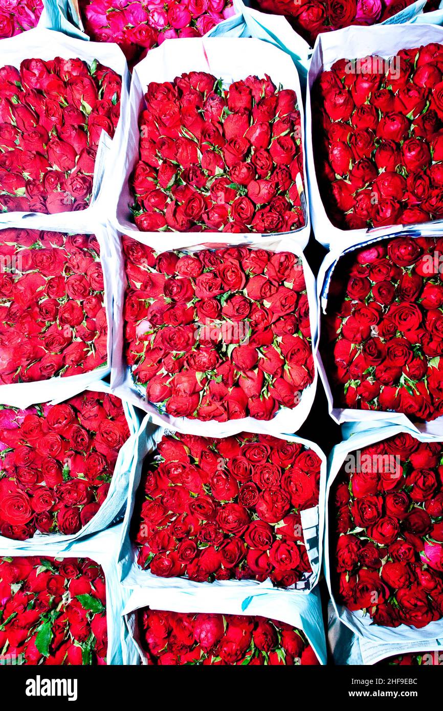 roses offered at the night flower market in Bangkok Stock Photo - Alamy