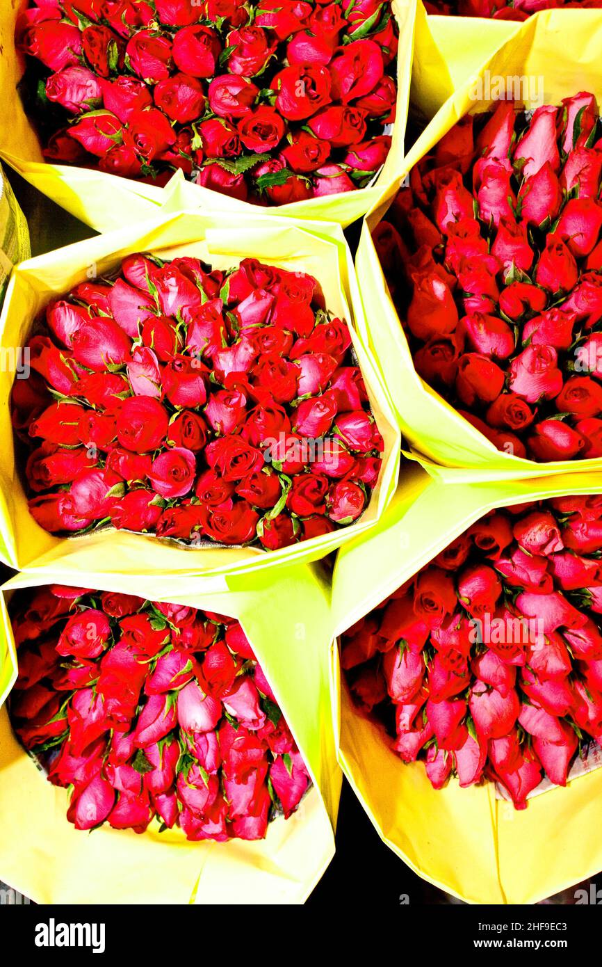 roses offered at the night flower market in Bangkok Stock Photo - Alamy